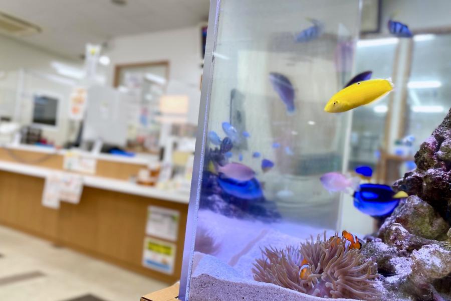 フラワー薬局 中村橋駅前店（東京都練馬区） ファーマボックス 薬剤師専用 求人×prサイト
